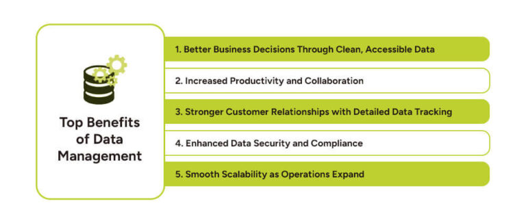Data Management Solutions for SMEs: A Practical Guide